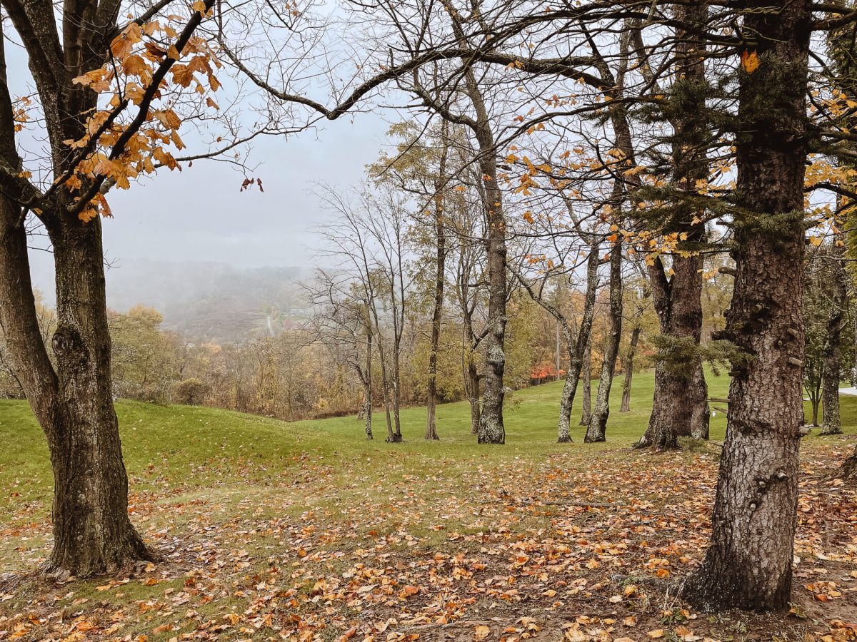 Peters Township leaf collections set - The Almanac